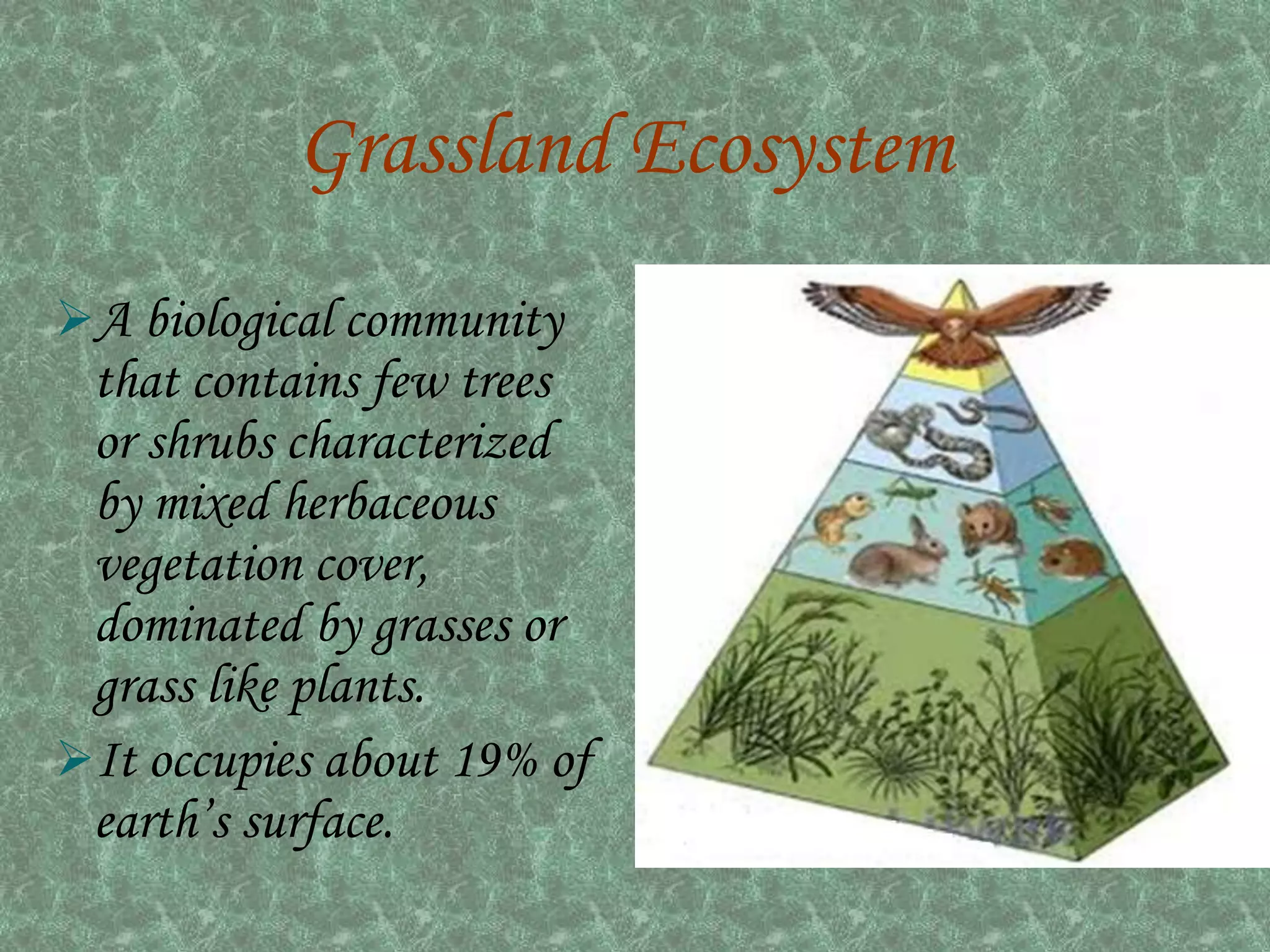 Ecology and ecosystem | PPTX