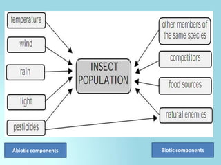 History of insect ecology and components of environment | PPTX