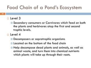 Ecology Presentation - Biology for CSEC.pdf