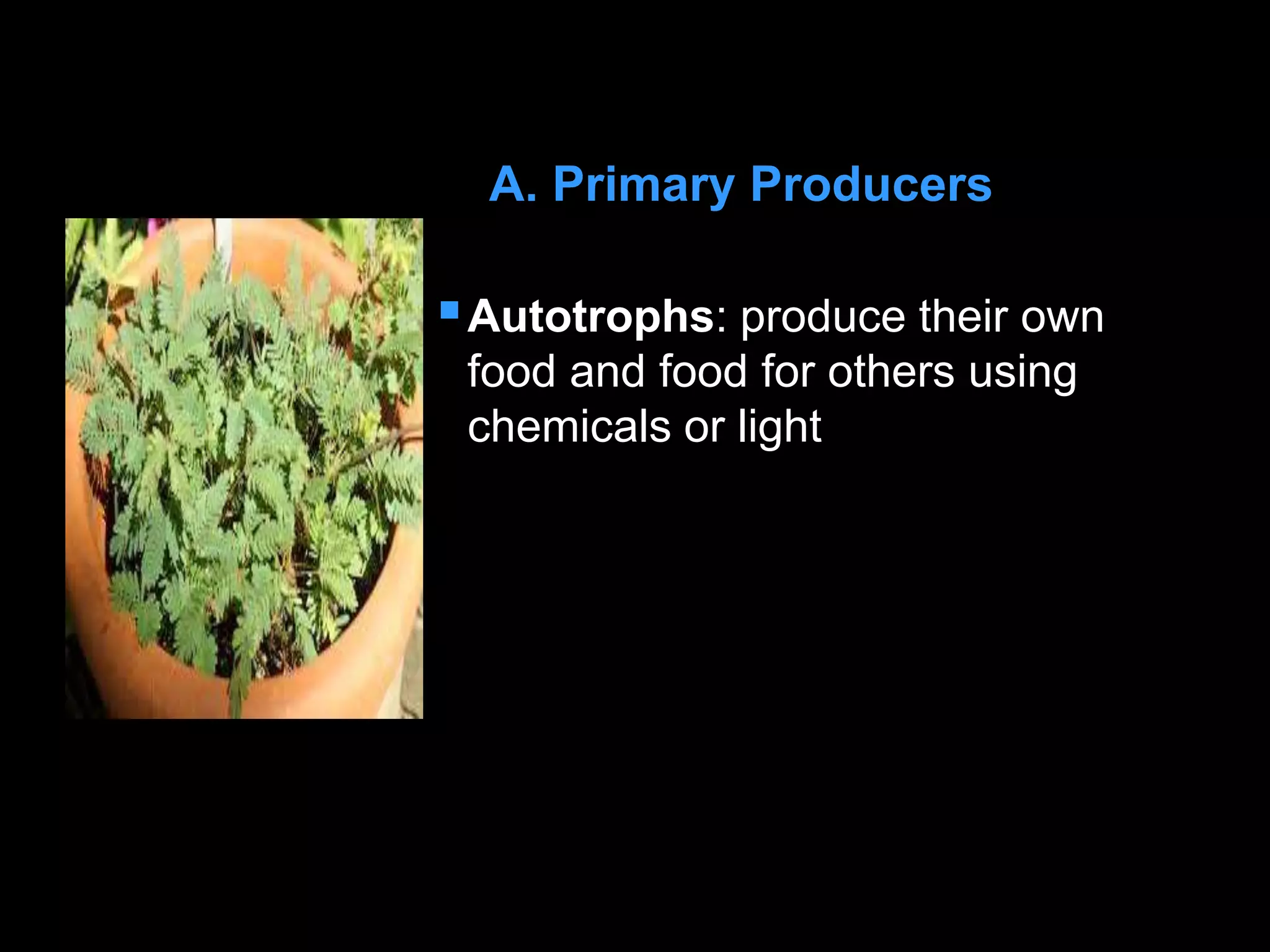 Producer and Consumers | PPTX