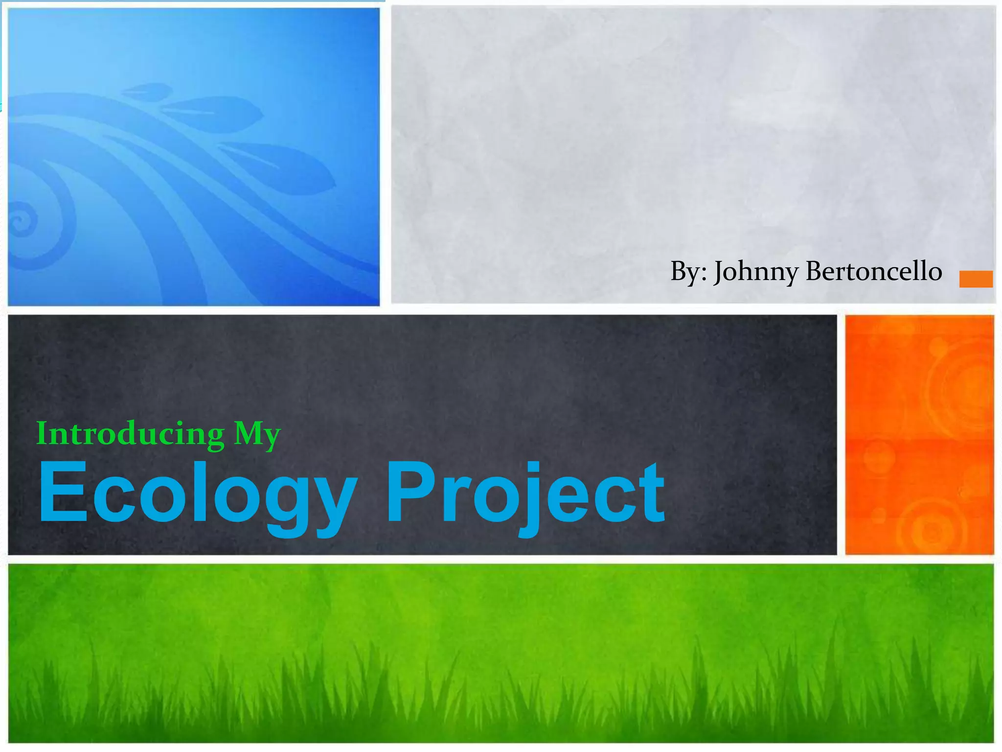 Ecology project | PPT