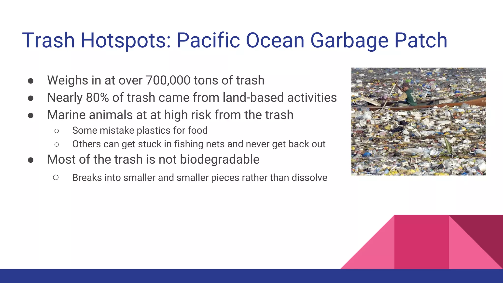 Ecology recycling project | PDF