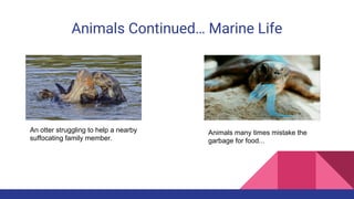 Ecology recycling project | PDF