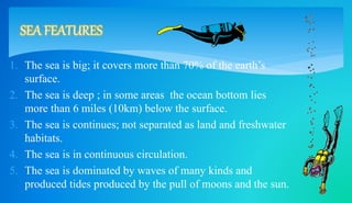 SEA FEATURES | PPTX