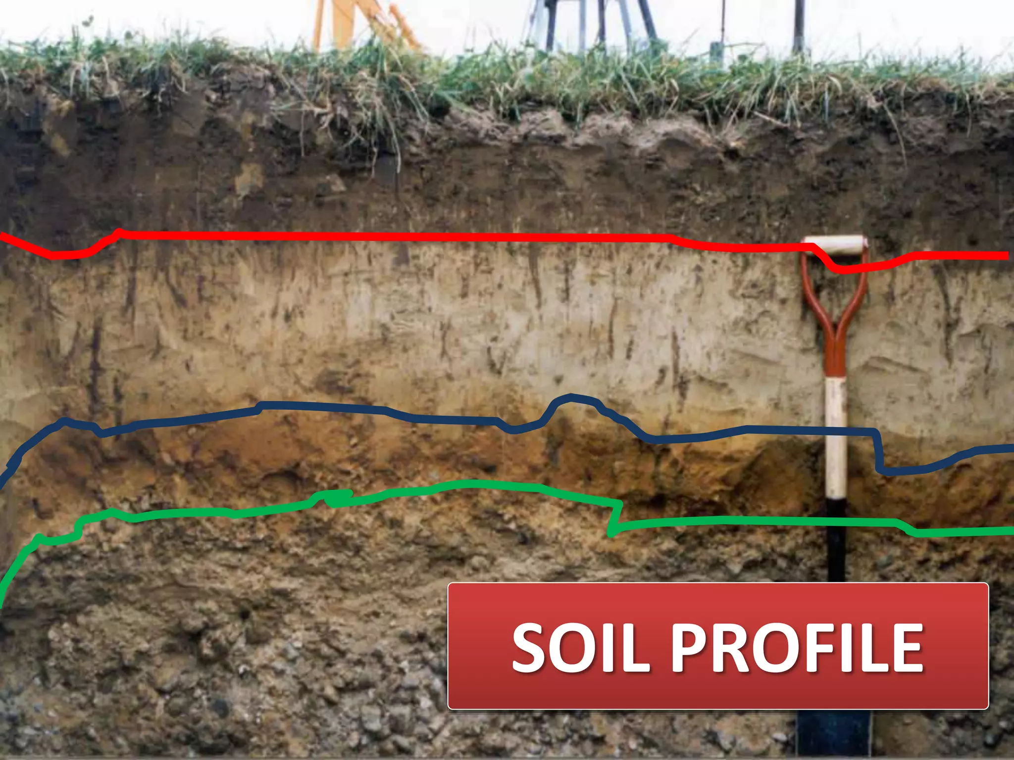 SOIL: Organizing Component for Terrestrial Ecosystem | PPT