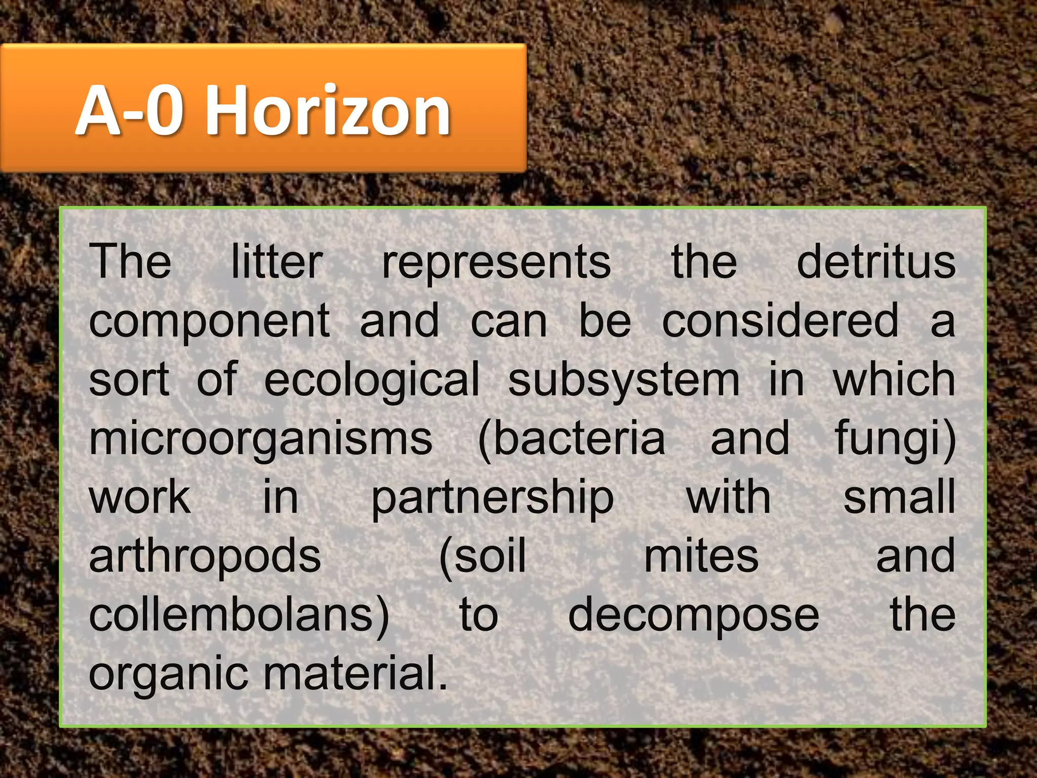 SOIL: Organizing Component for Terrestrial Ecosystem | PPT