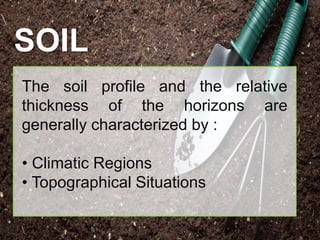 SOIL: Organizing Component for Terrestrial Ecosystem | PPTX