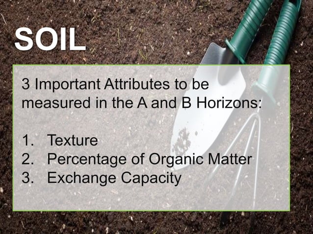 SOIL: Organizing Component for Terrestrial Ecosystem | PPT