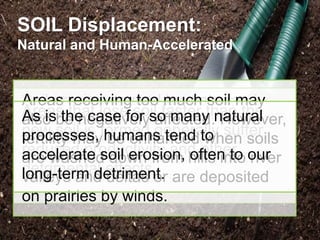 SOIL: Organizing Component for Terrestrial Ecosystem | PPTX