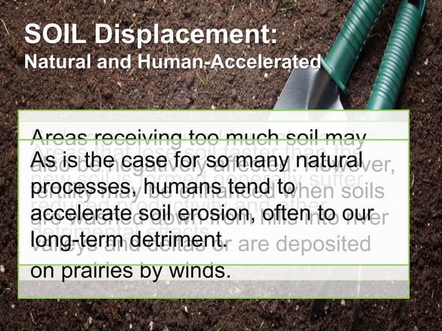SOIL: Organizing Component for Terrestrial Ecosystem | PPT