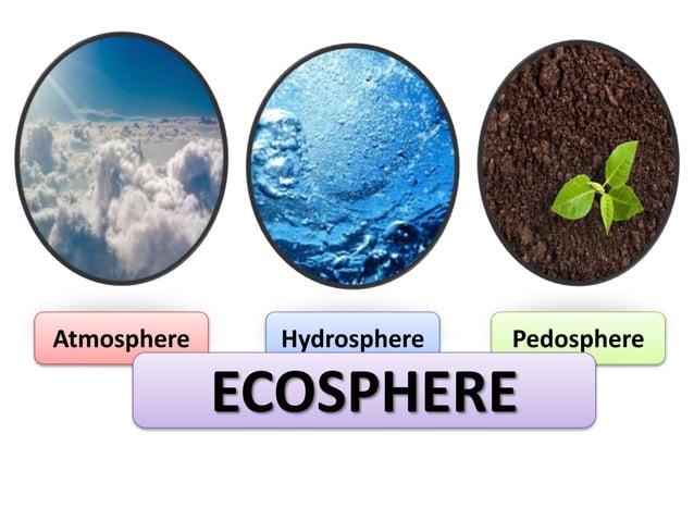 SOIL: Organizing Component for Terrestrial Ecosystem | PPT