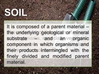SOIL: Organizing Component for Terrestrial Ecosystem | PPT