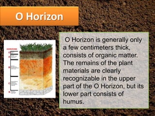 SOIL: Organizing Component for Terrestrial Ecosystem | PPT