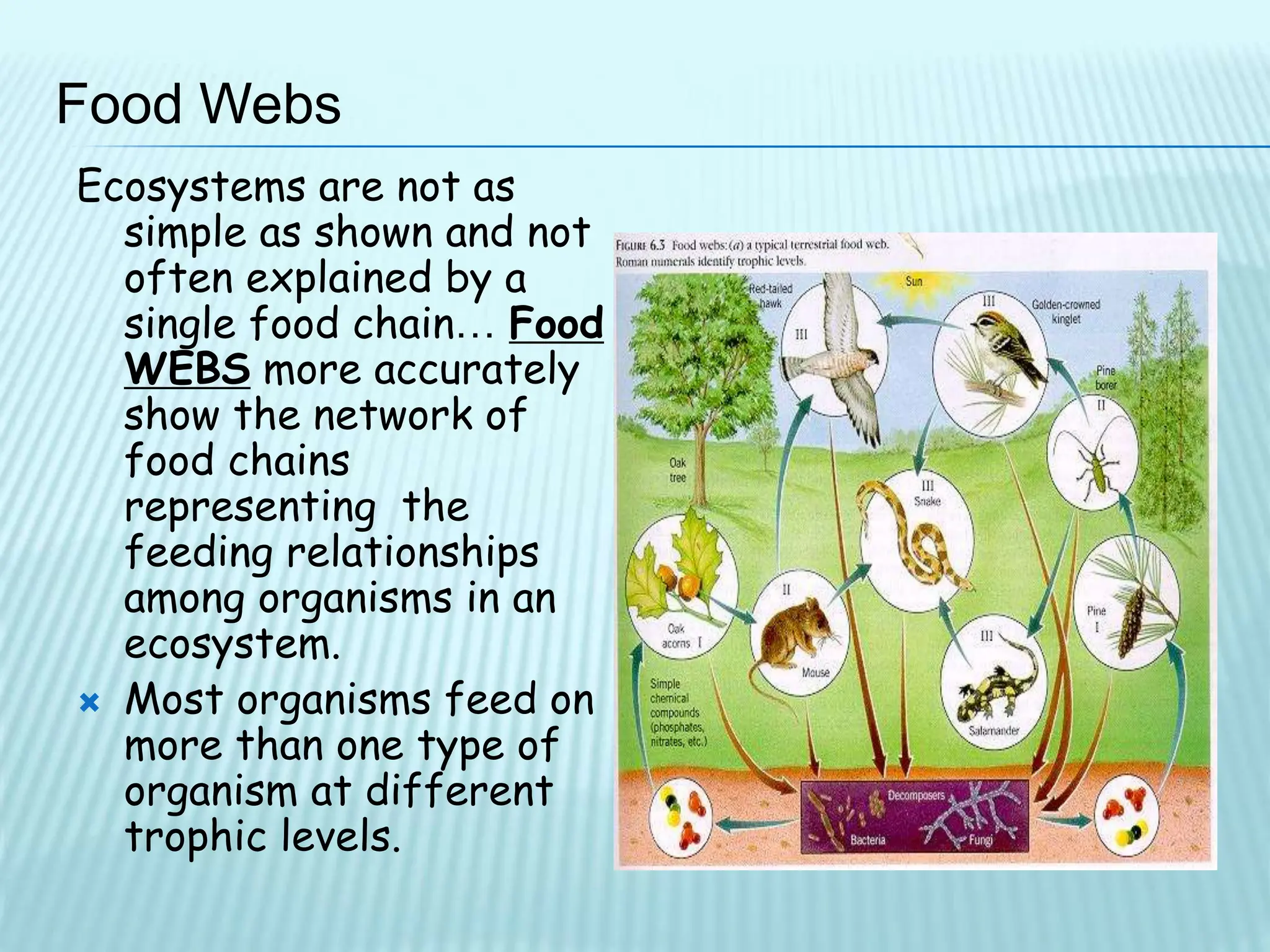 Ecology Rev.ppt