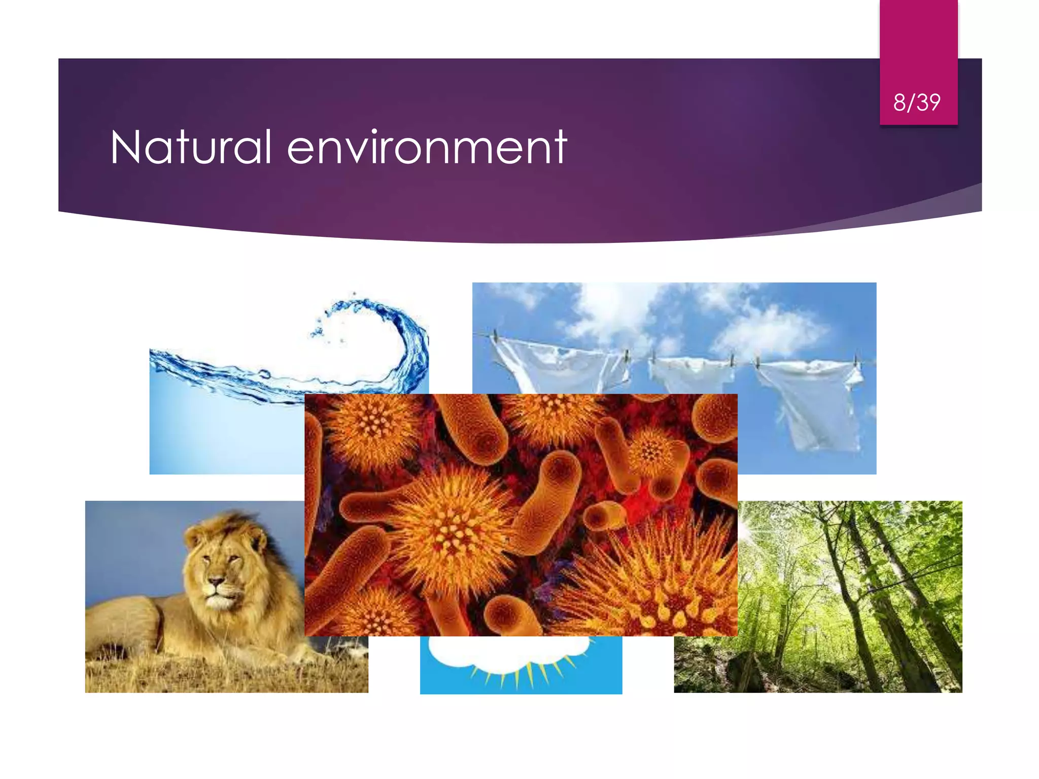 Ecology of health, Right to health & health and development | PPTX