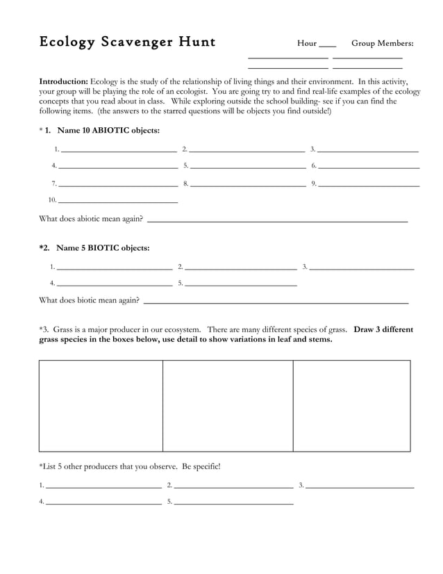 Ecology scavengerhunt activity | PDF