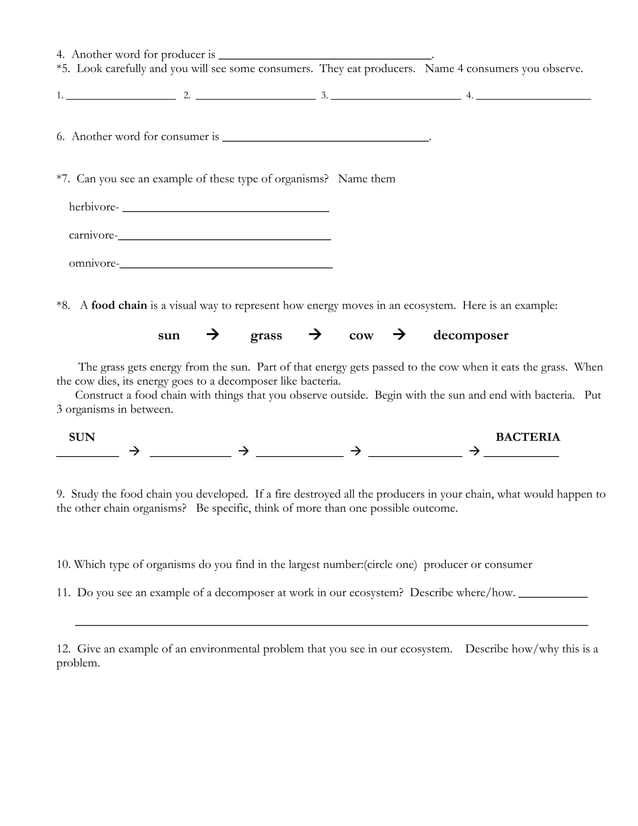 Ecology scavengerhunt activity | DOC