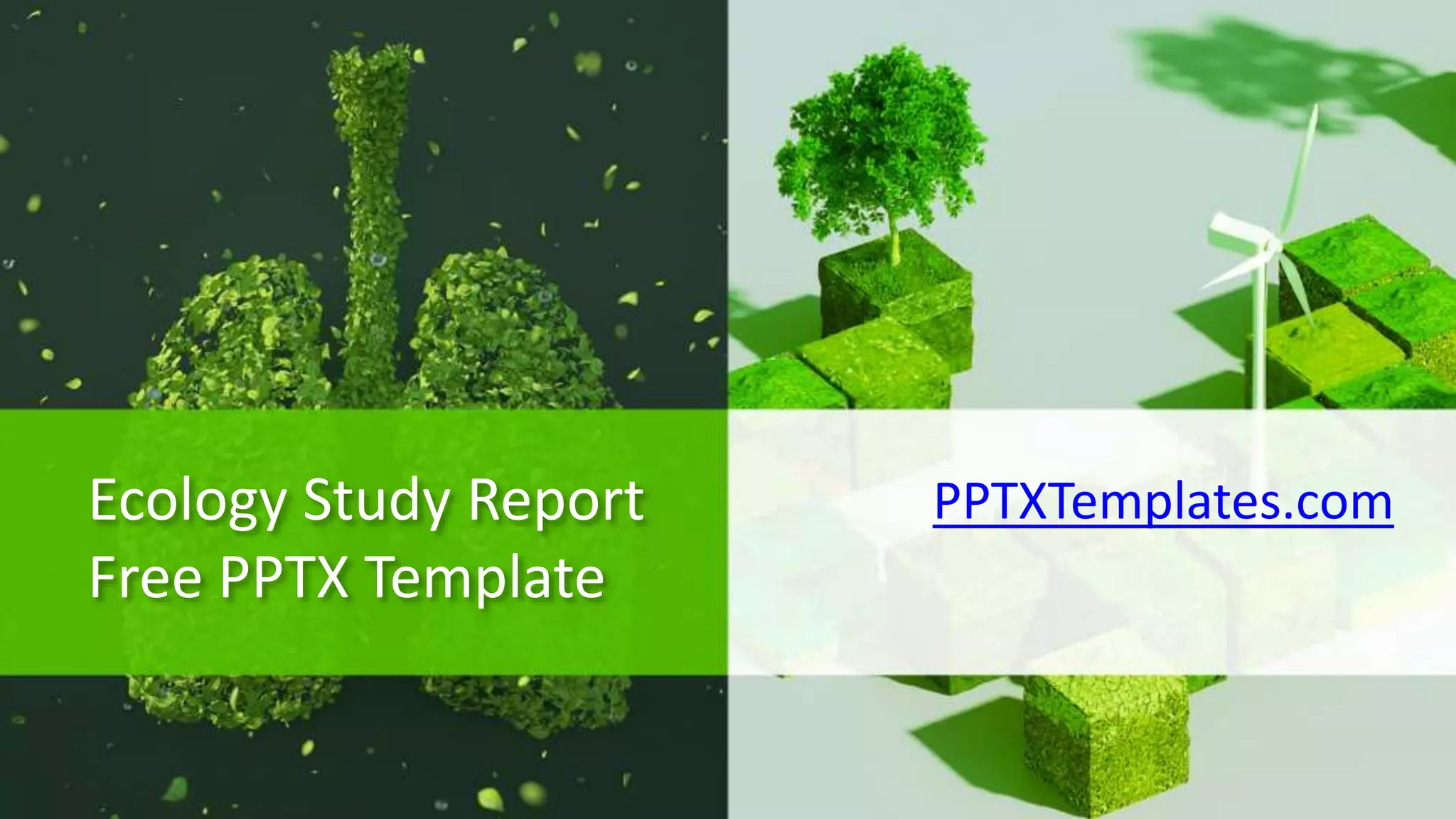 Ecology Study Presentation Template.pptx