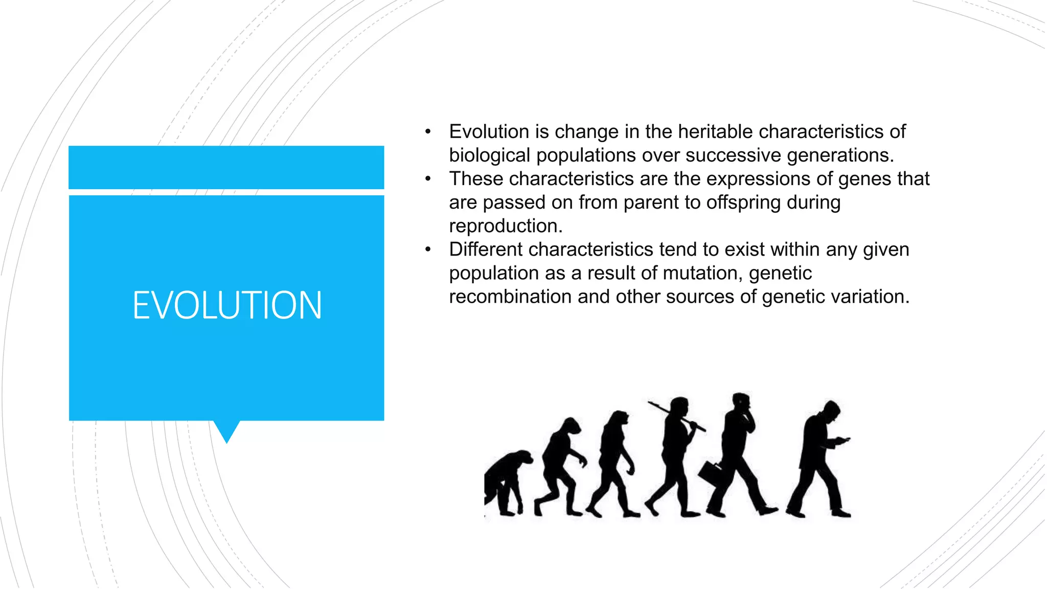 Ecology useful terms | PPTX
