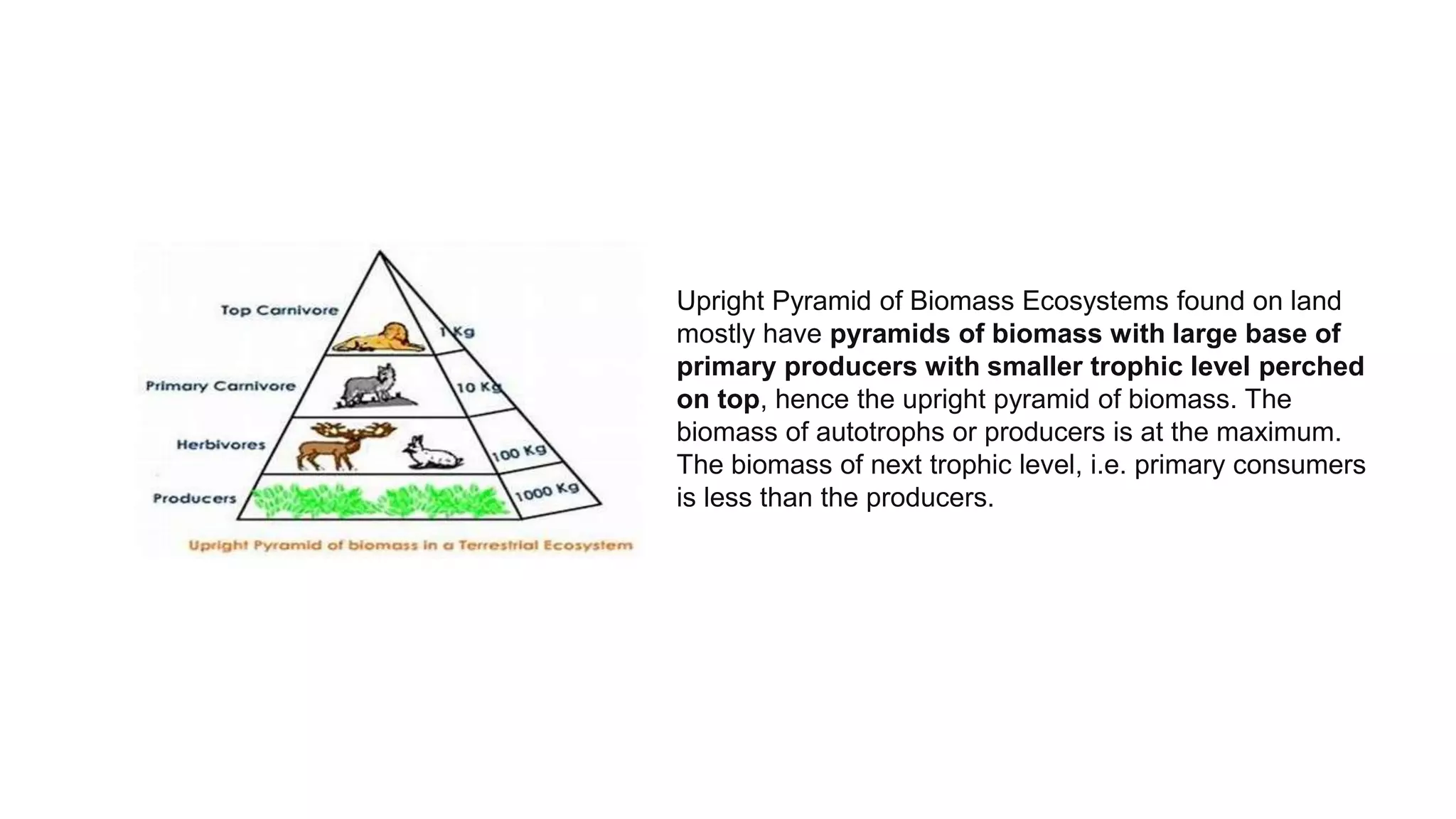 Ecology useful terms | PPTX