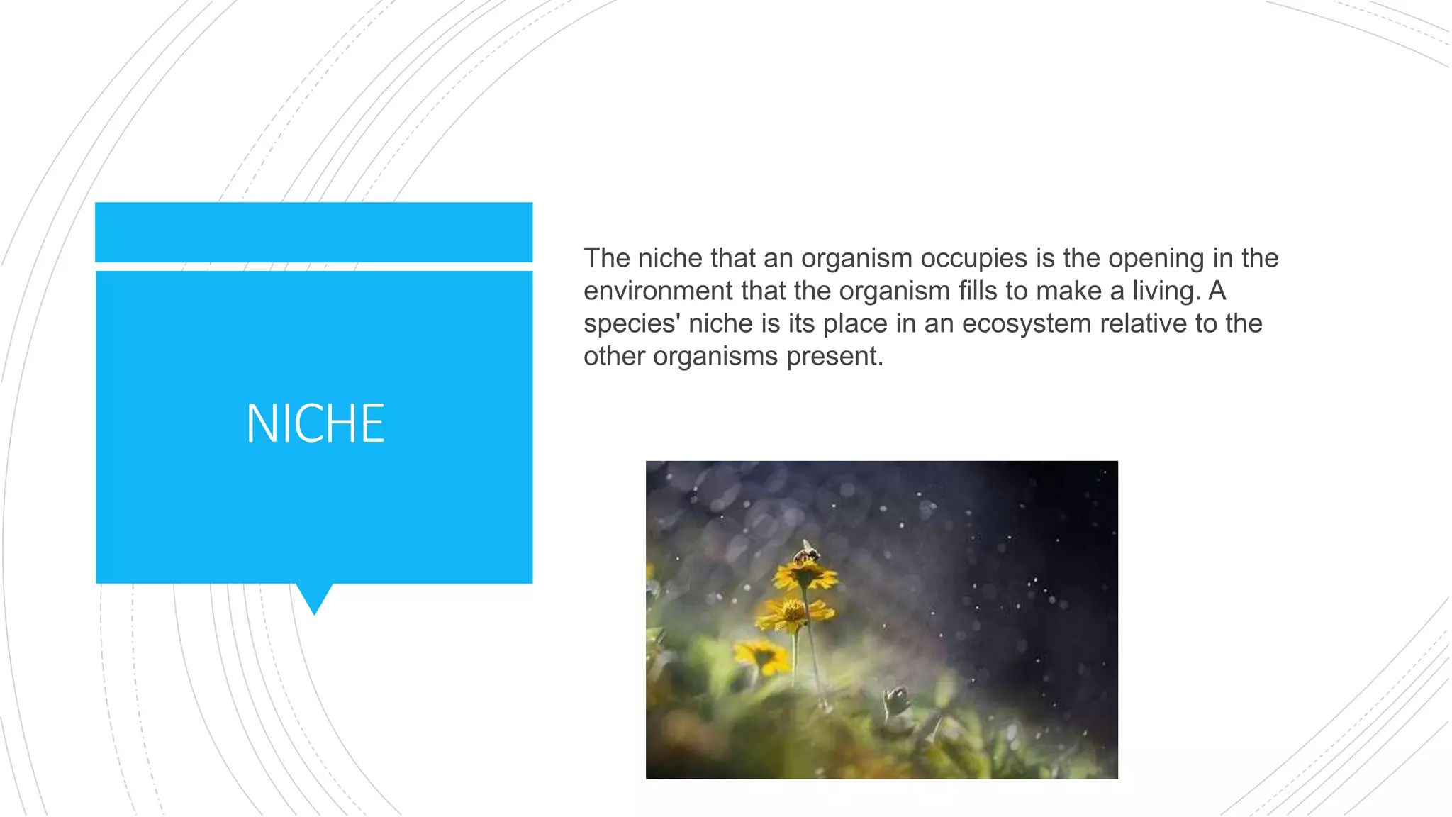 Ecology useful terms | PPTX
