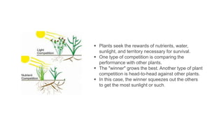 Ecology useful terms | PPTX