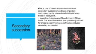 Ecology useful terms | PPTX