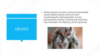 Ecology useful terms | PPTX