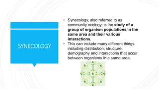 Ecology useful terms | PPTX