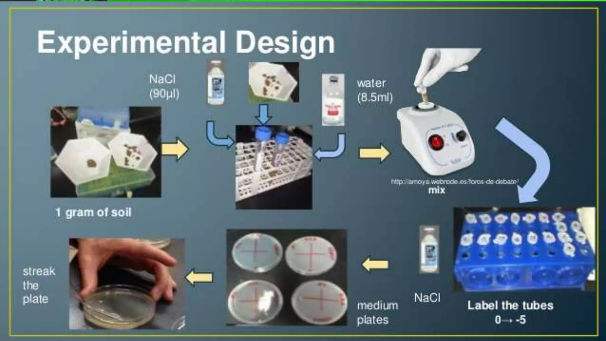 Ecology tools and techniques | PPTX
