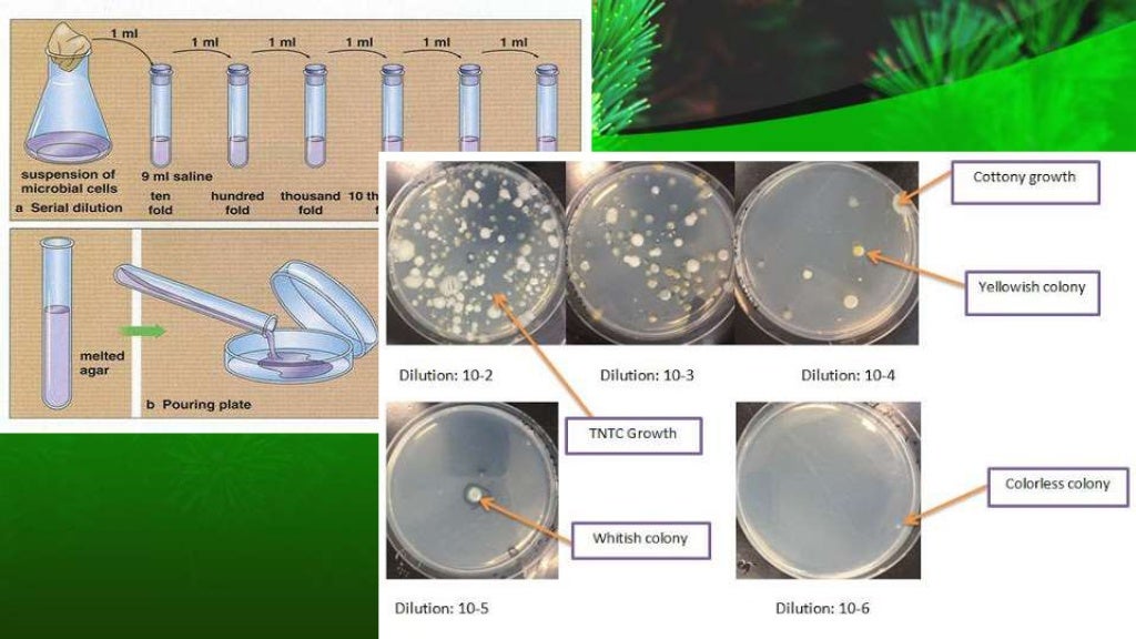 Ecology tools and techniques