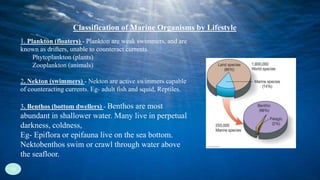 marine ecology | PPTX