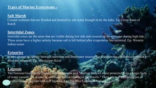 marine ecology | PPT