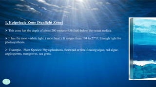 marine ecology | PPT