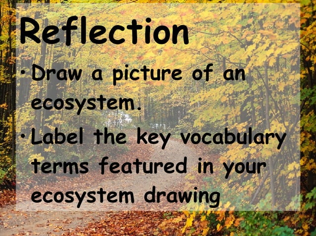 Ecology Vocabulary[1] | PPT