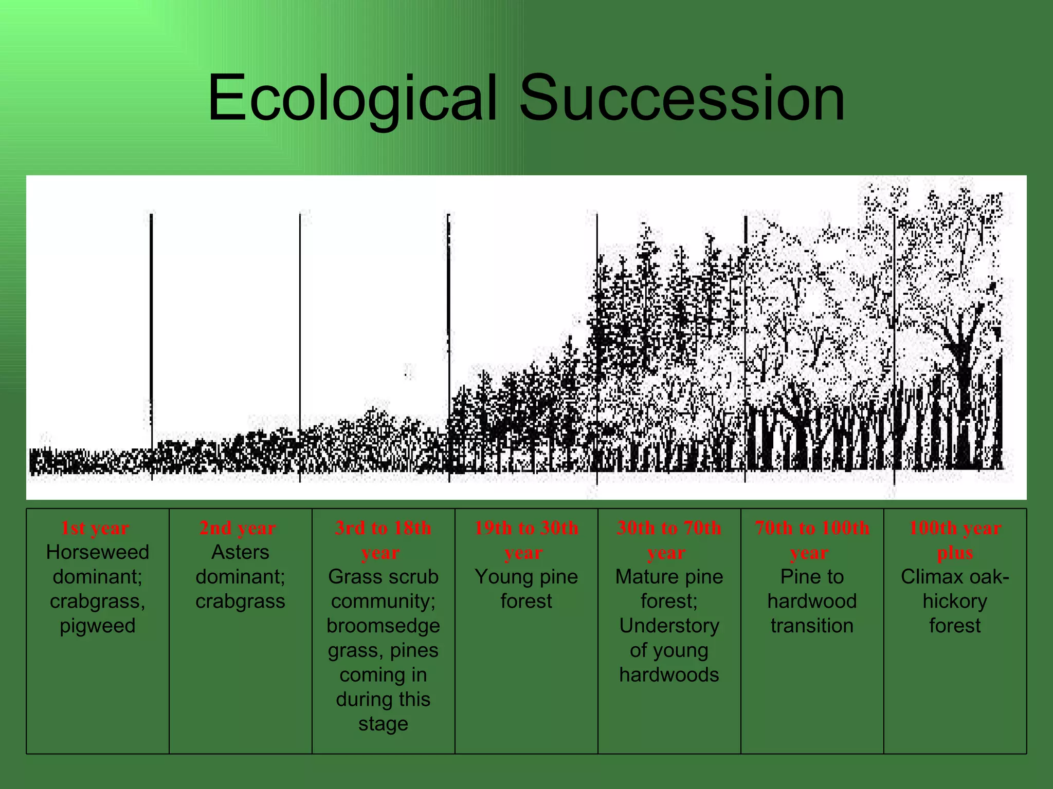 Ecological succession | PPT