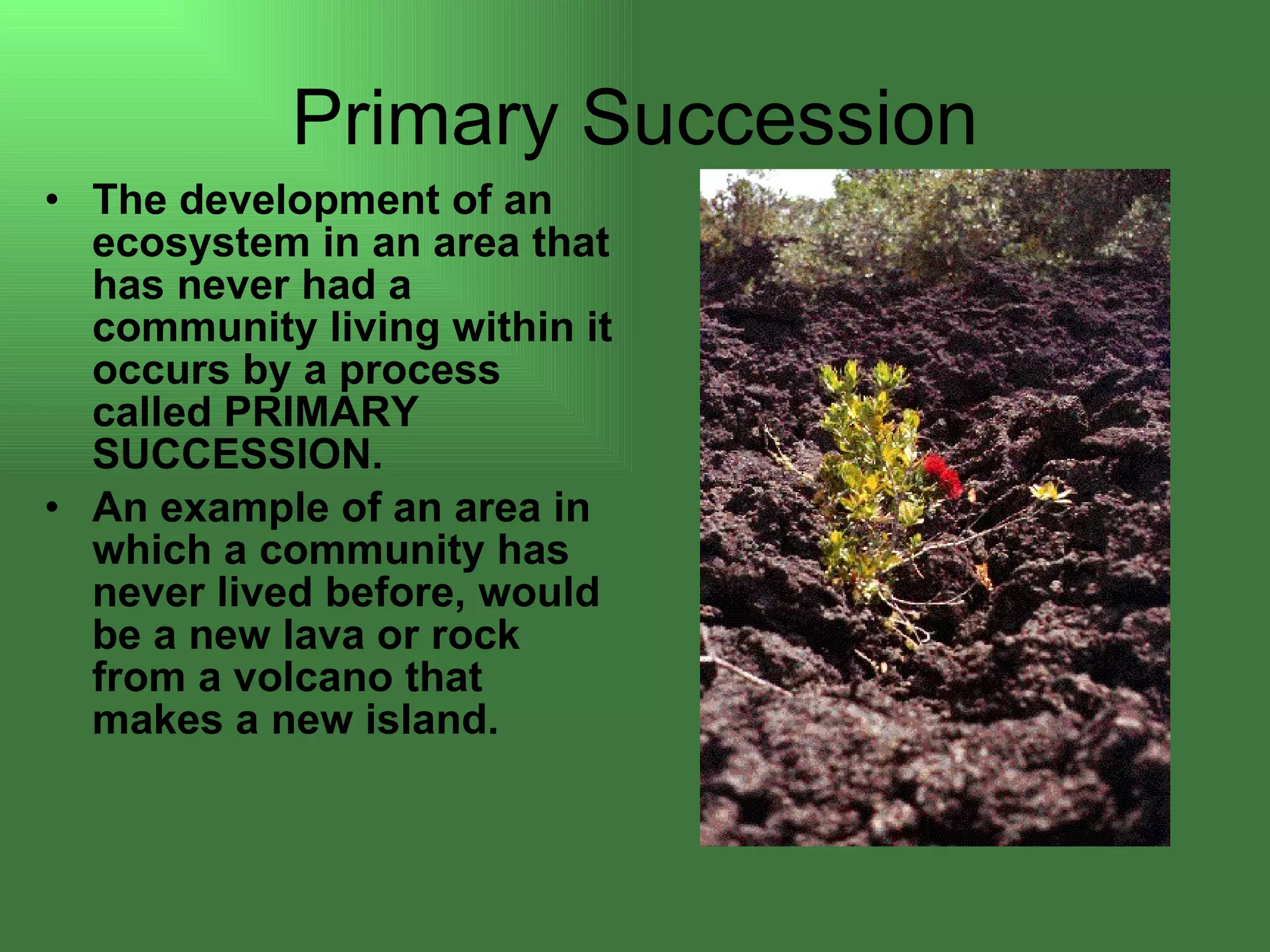 Ecological succession | PPT
