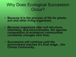 Ecological succession | PPT