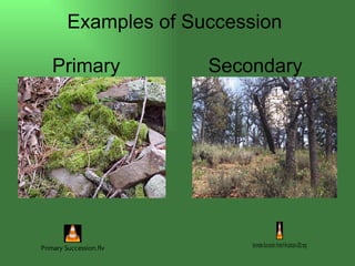 Ecological succession | PPT
