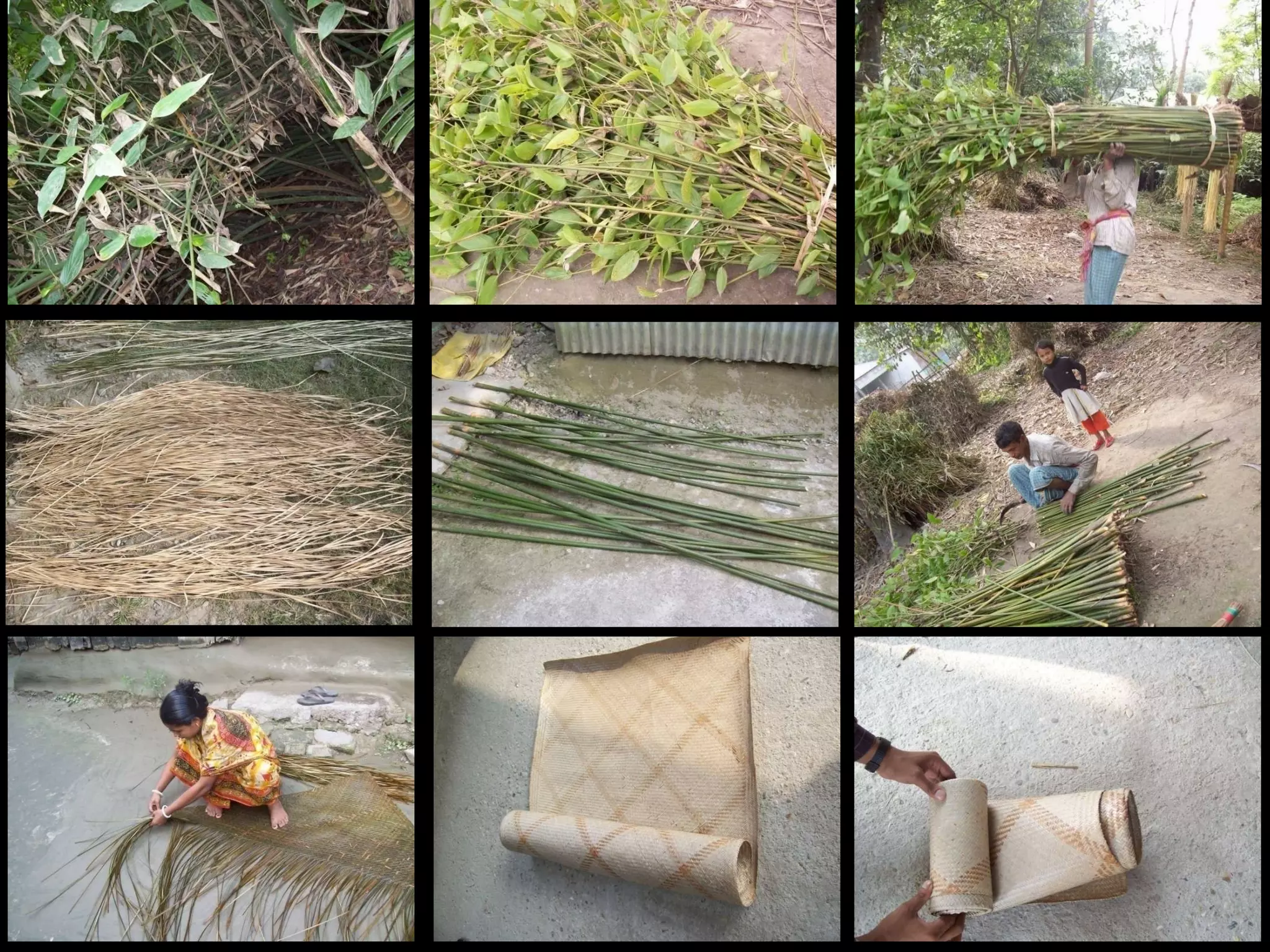 Ecomade Presentation | PPT