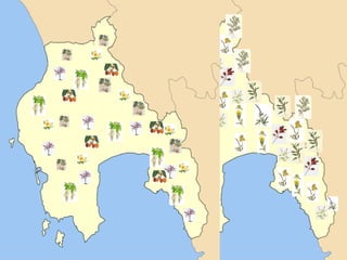 Ecomap of messinia greece | PPT