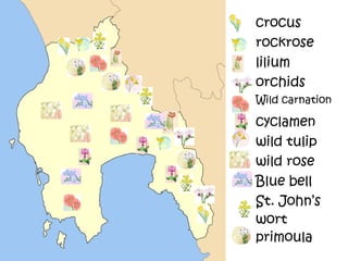Ecomap of messinia greece | PPT