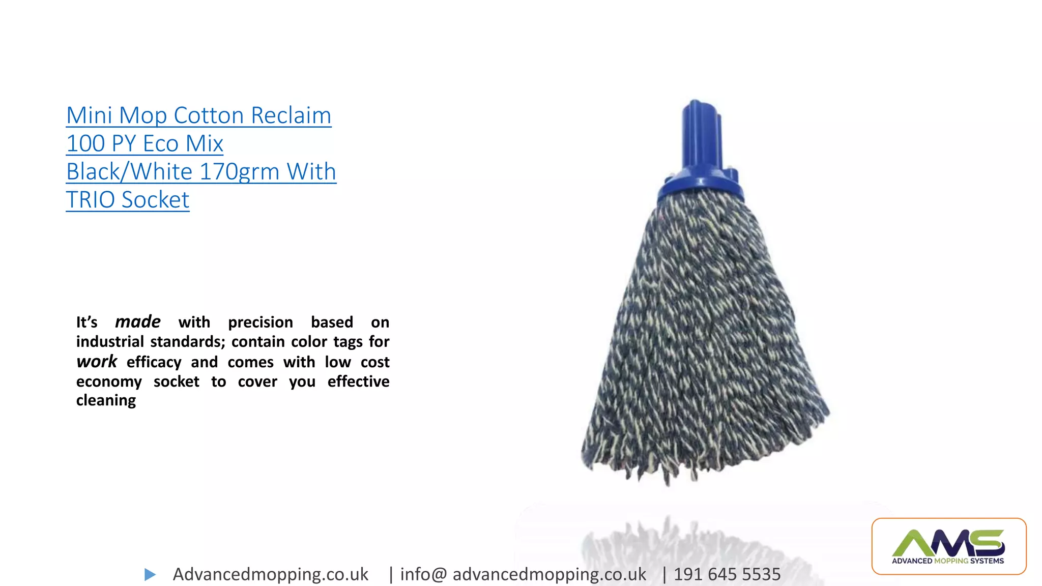 Eco mini mops | PPT