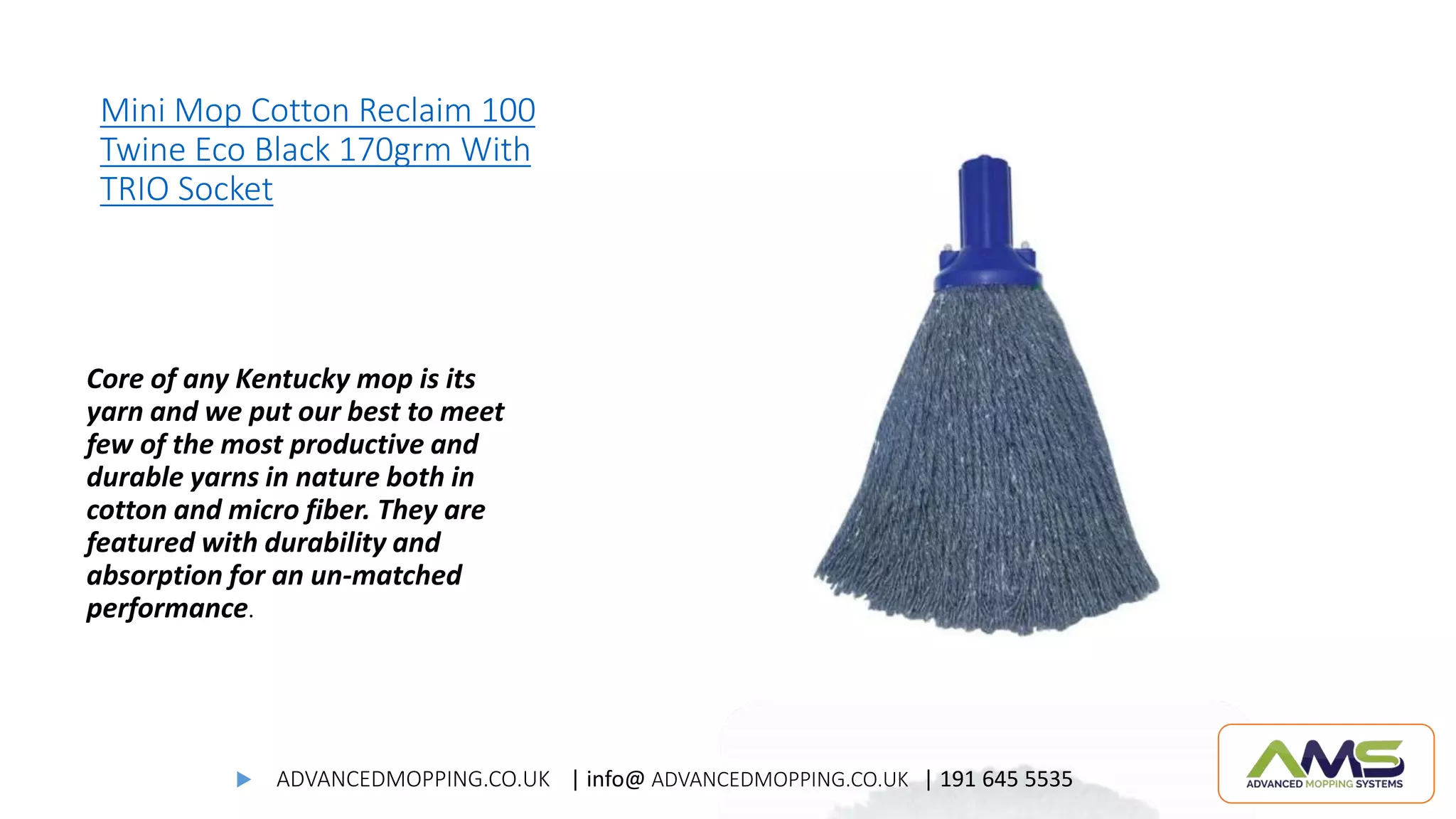 Eco mini mops | PPT | Free Download