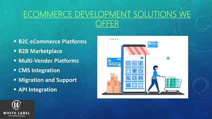 ECommerce Development Service | ECommerce App Developer | PPT