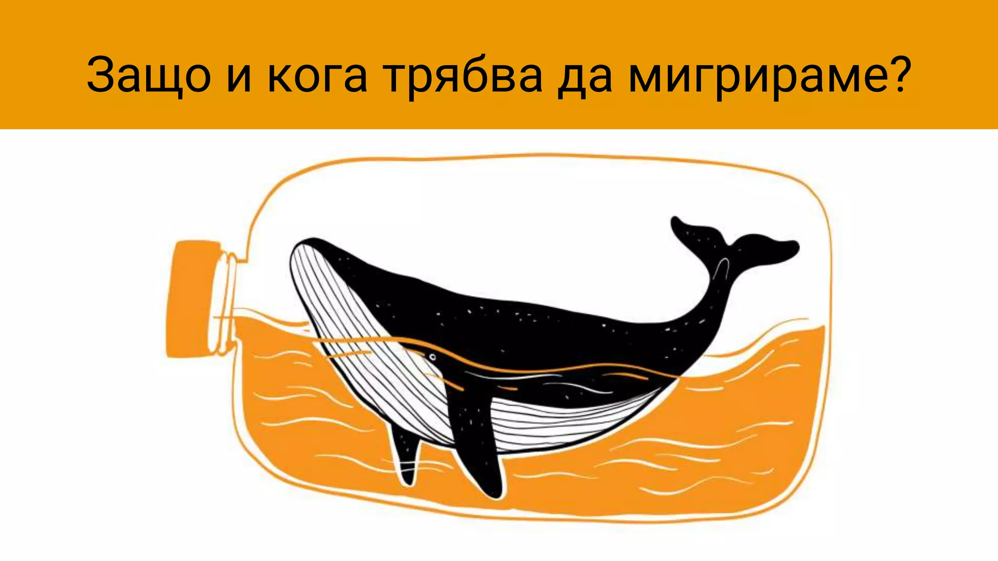 Явор Сяров (Rocket Studio) | PPT