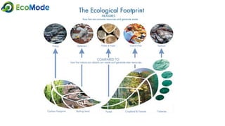 Ecomode module 2-unit1 | PPT