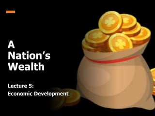 Economic Development - A Nation's Wealth | PPTX