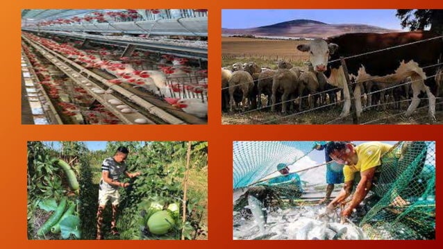 Business Principles, Tools, and Techniques in Participating in Various ...