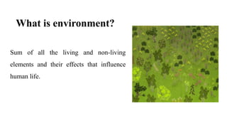 Econ_3105_20220124_191510_Environment.ppt.pptx